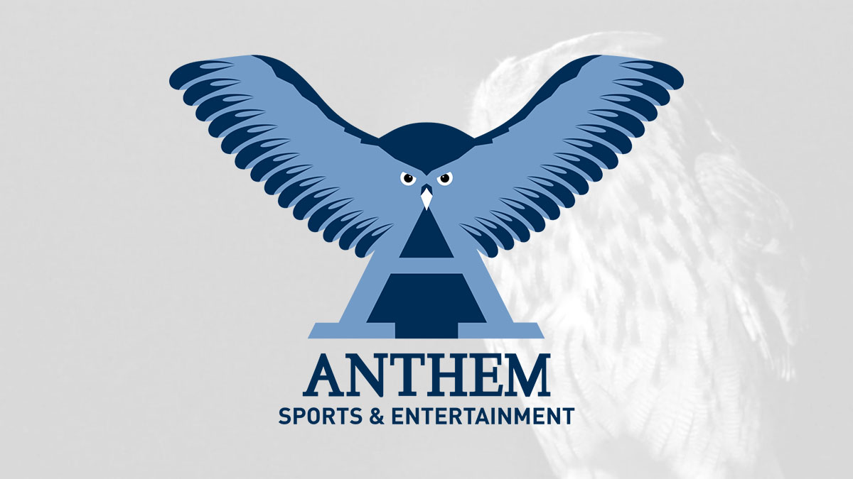 Former WWE executive hired in new role at Anthem Sports Group - WWE ...