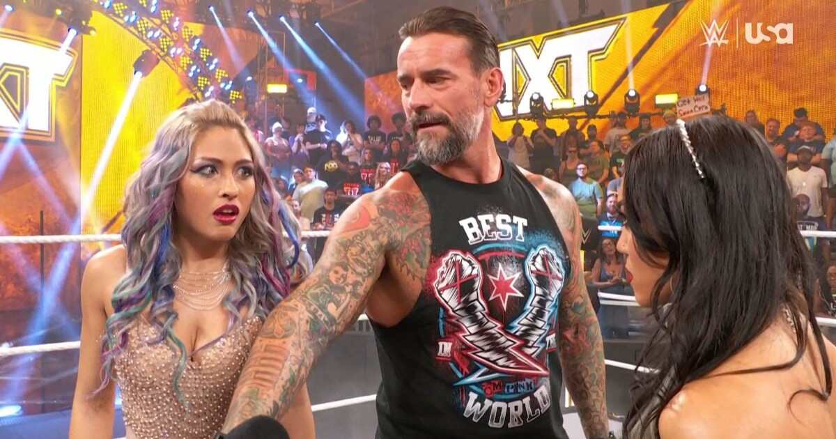 Backstage WWE news on CM Punk's appearance on the 9/17 episode of NXT ...